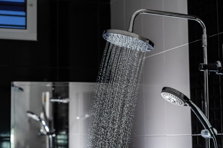 11 Different Types of Shower Heads (With Pictures) | Home Grail