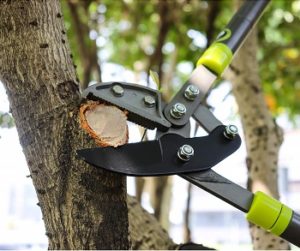 6 Best Loppers of 2026 — Reviews & Top Picks | Home Grail