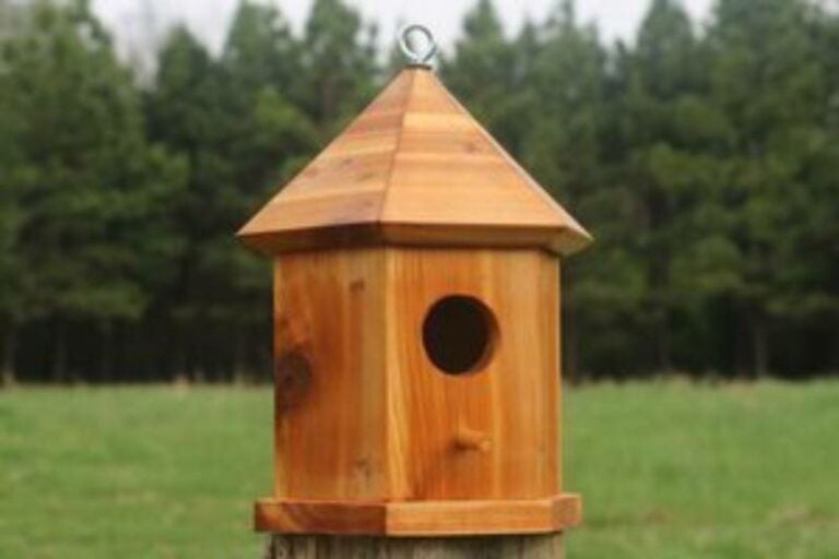 15 DIY Wren Bird House Plans You Can Build Today (With Pictures) | Home ...