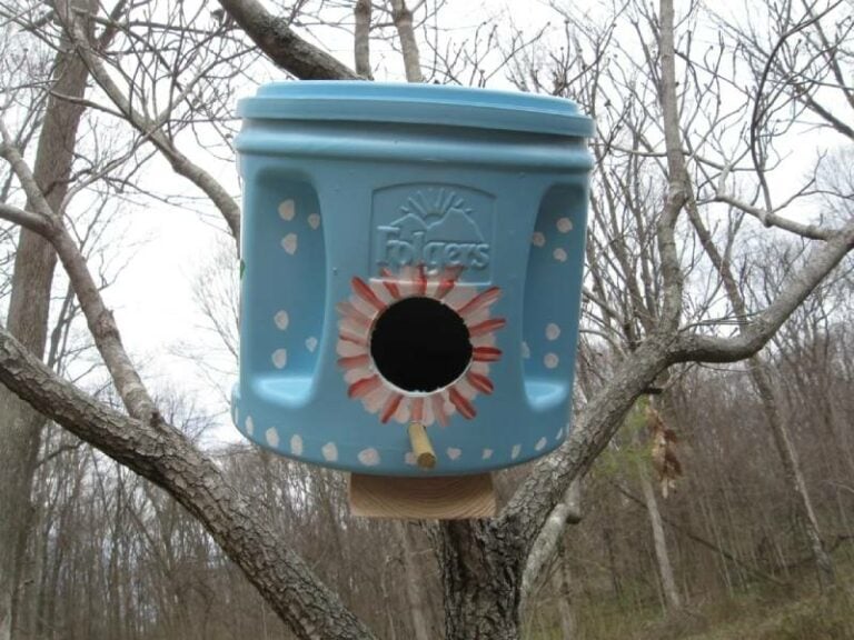 15 DIY Wren Bird House Plans You Can Build Today (With Pictures) | Home ...