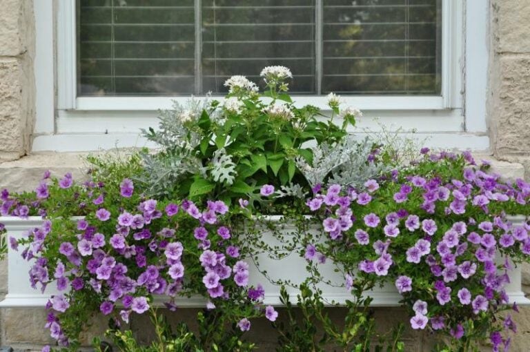 15 DIY Window Box Plans You Can Build Today (with Pictures) | Home Grail