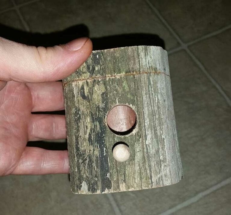 10 DIY Hummingbird House Plans You Can Build Today (With Pictures ...