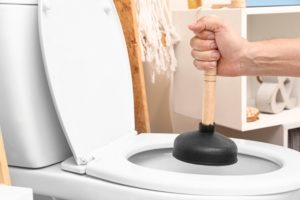 8 Different Types of Plungers (With Pictures) | Home Grail