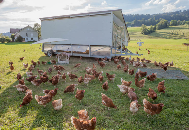 10 Free DIY Mobile Chicken Coop Plans You Can Make Today (With Pictures ...