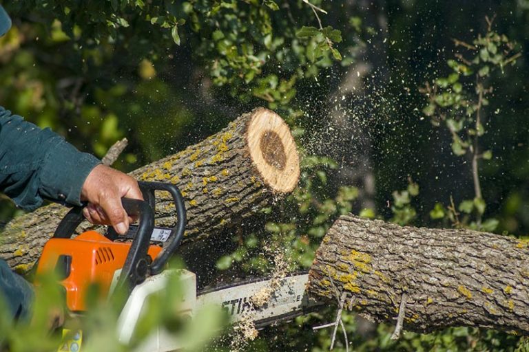 How Loud is a Chainsaw in Decibels (dB)? Facts, Types & Protection ...