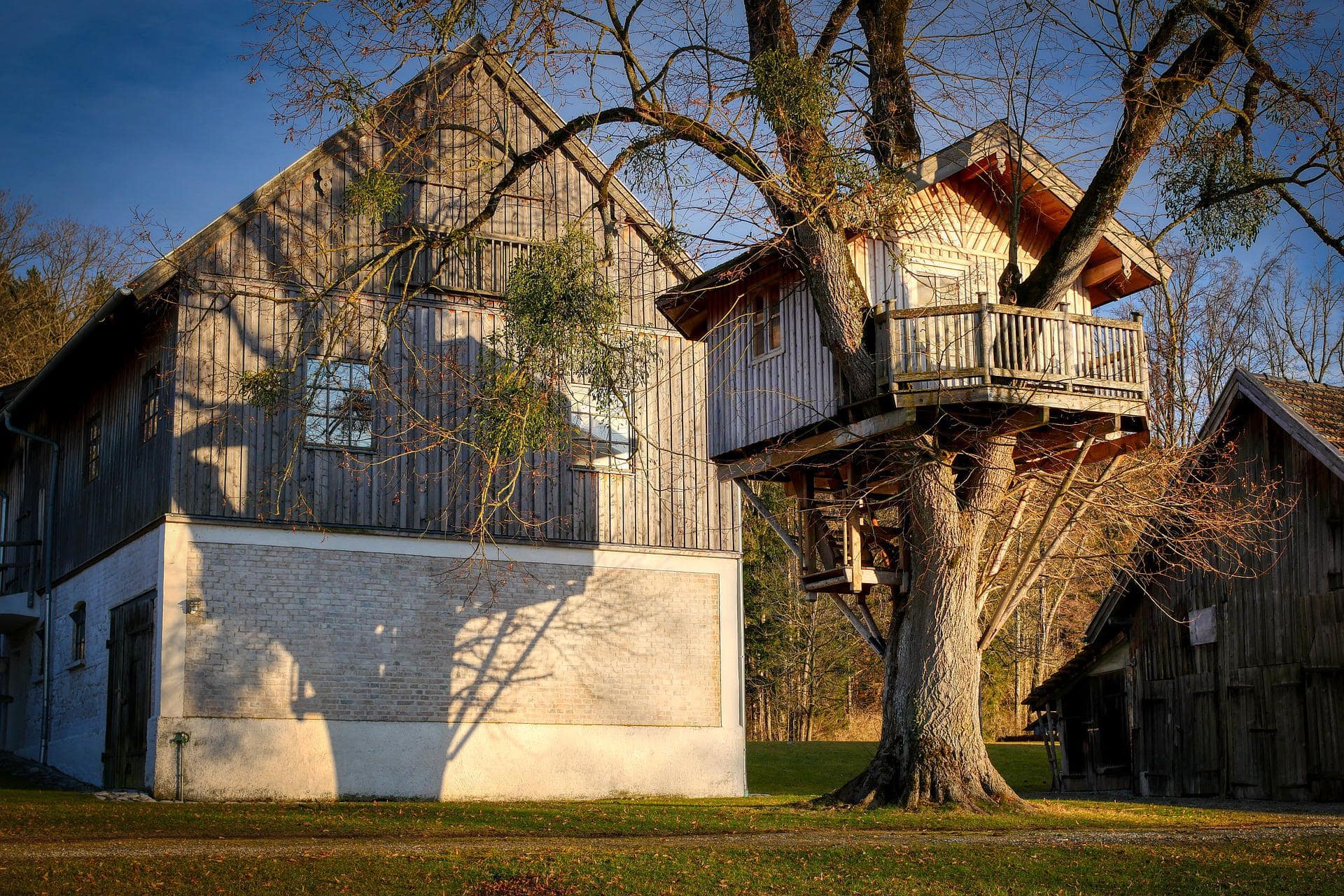 19 DIY Tree House Plans for Kids & Adults You Can Build Today (With ...