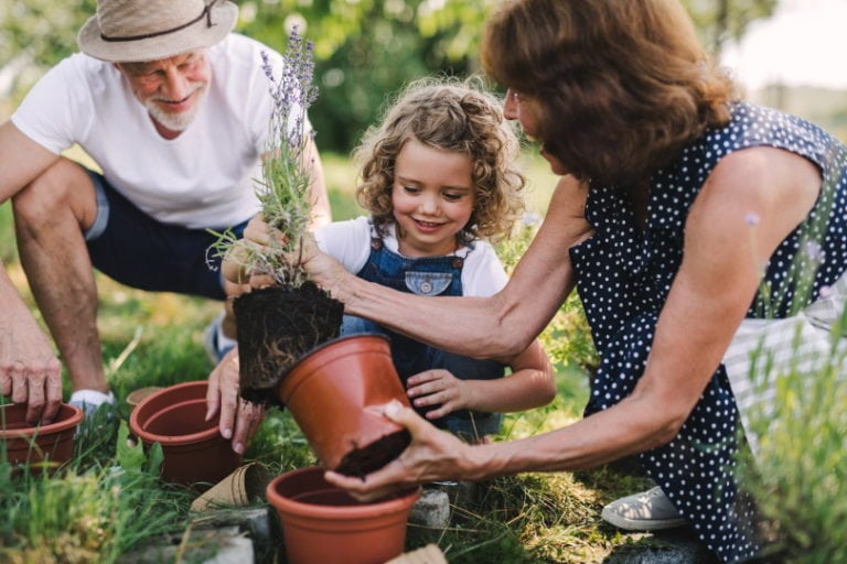 20 Easy Plants to Grow Outside (With Pictures) | Home Grail
