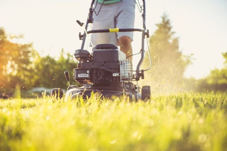 11 Most Shocking Lawnmower Accident Statistics (2026 Update) | Home Grail