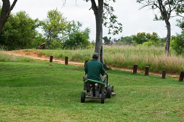 11 Most Shocking Lawnmower Accident Statistics (2026 Update) | Home Grail