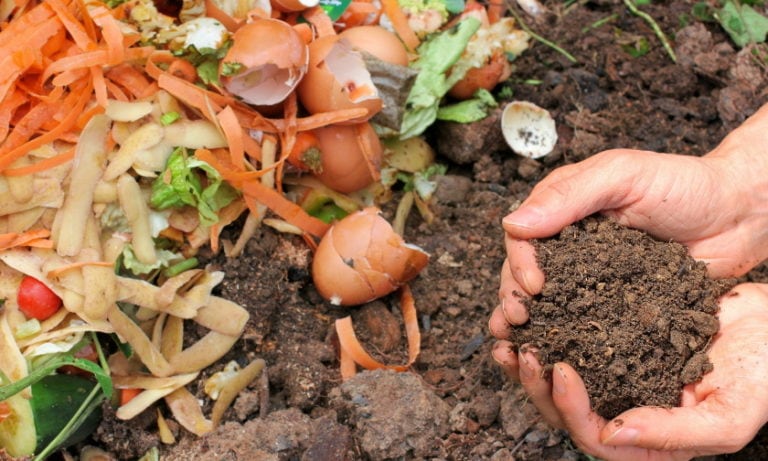 10 Composting Facts - Statistics and Data in 2025 | Home Grail