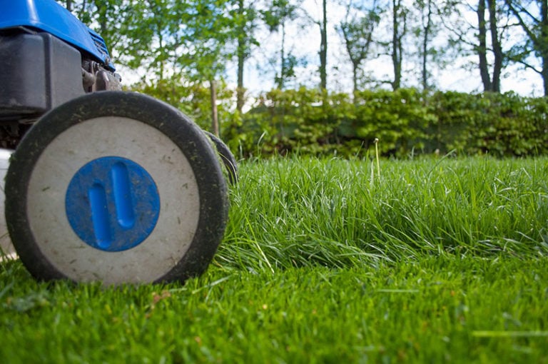 11 Most Shocking Lawnmower Accident Statistics (2026 Update) | Home Grail