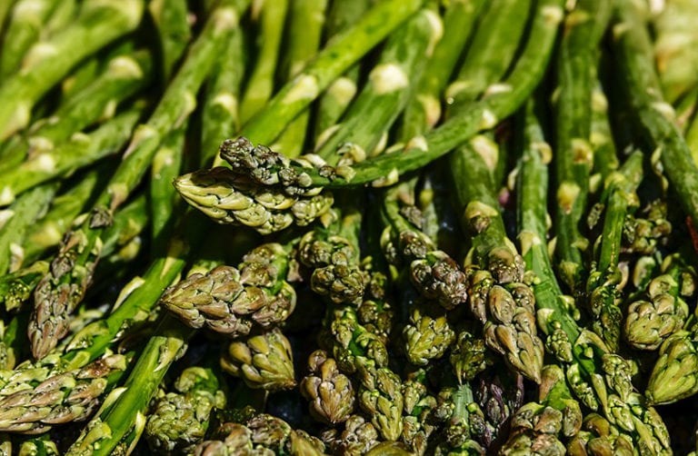 10 Best Vegetables to Grow in Texas (With Pictures) | Home Grail