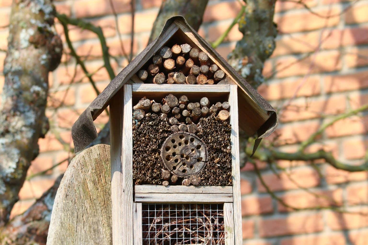 8 Free DIY Bee House Plans You Can Build Today (With Pictures) | Home Grail
