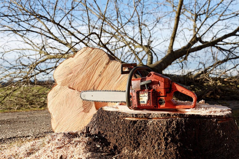 Who Invented the Chainsaw? History, Origins, & Evolution | Home Grail