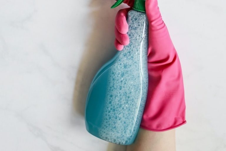 How To Get Rid of Ladybugs In Your House In 9 Steps (With Pictures ...