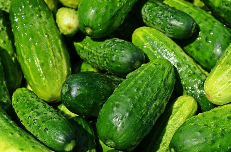 10 Best Vegetables to Grow in Texas (With Pictures) | Home Grail