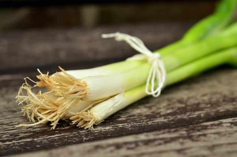 8 Types of Green Onions (with Pictures) | Home Grail