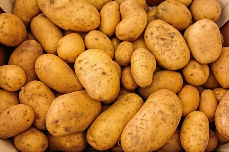 11 Best Vegetables to Grow in Ohio (With Pictures) | Home Grail