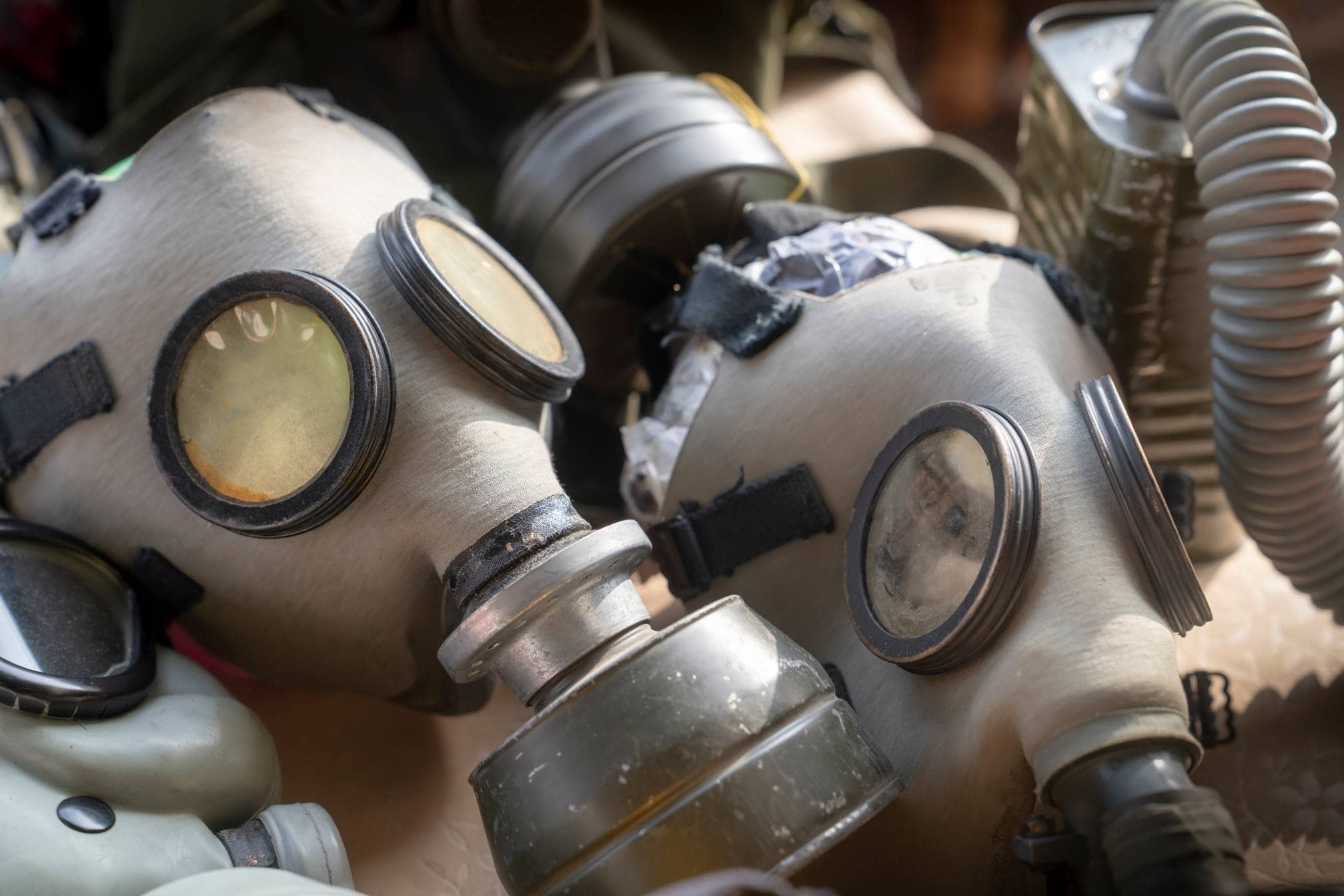 Can I Flea Bomb One Room and Stay in the House? What You Need to Know ...