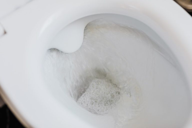 Do Toilets Actually Flush Backwards in Australia? Myths, Reasons & FAQ ...