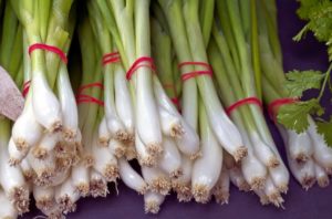 8 Types of Green Onions (with Pictures) | Home Grail