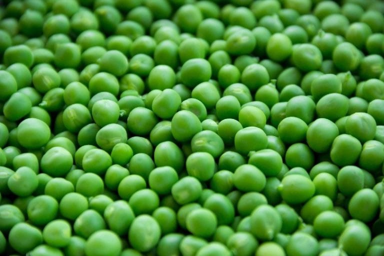 11 Best Vegetables to Grow in Ohio (With Pictures) | Home Grail