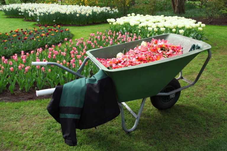 15 Different Types of Garden Tools & Their Uses (With Pictures) | Home ...