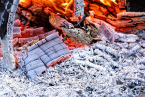 Can You Burn Bamboo? Is It Good Firewood? | Home Grail