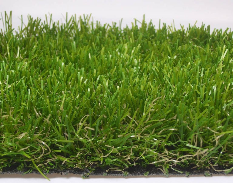 9 Types of Grass in Georgia – Top Choices for Your Lawn (With Pictures ...