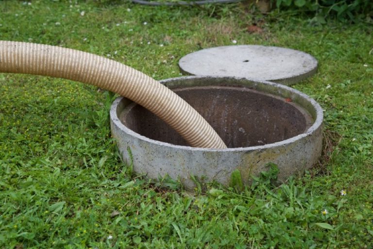 How to Kill Roots in a Septic Tank (4 Expert Tips) | Home Grail