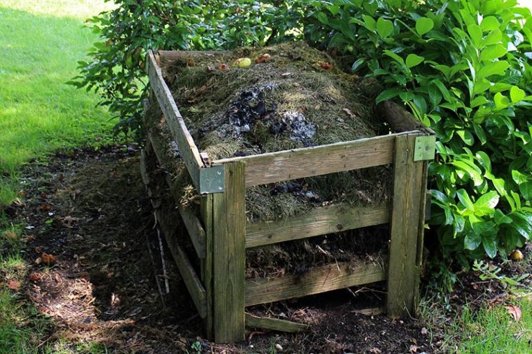 8 Best Composts for Gardens in 2026 - Reviews & Top Picks | Home Grail