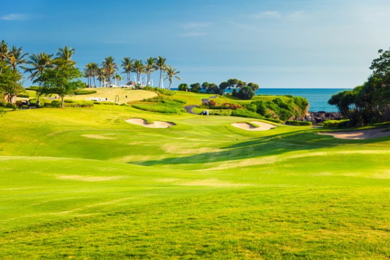 8 Most Common Types of Grass in Hawaii (With Pictures) | Home Grail