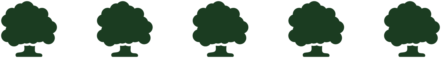 What Is the State Tree of Alaska? Facts & FAQ | Home Grail