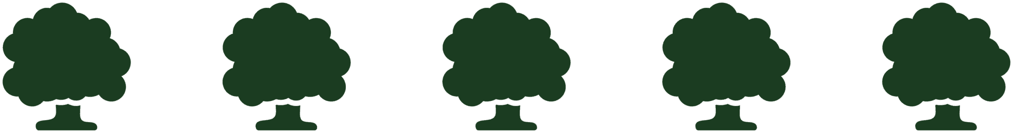 What Is the State Tree of Alaska? Facts & FAQ | Home Grail