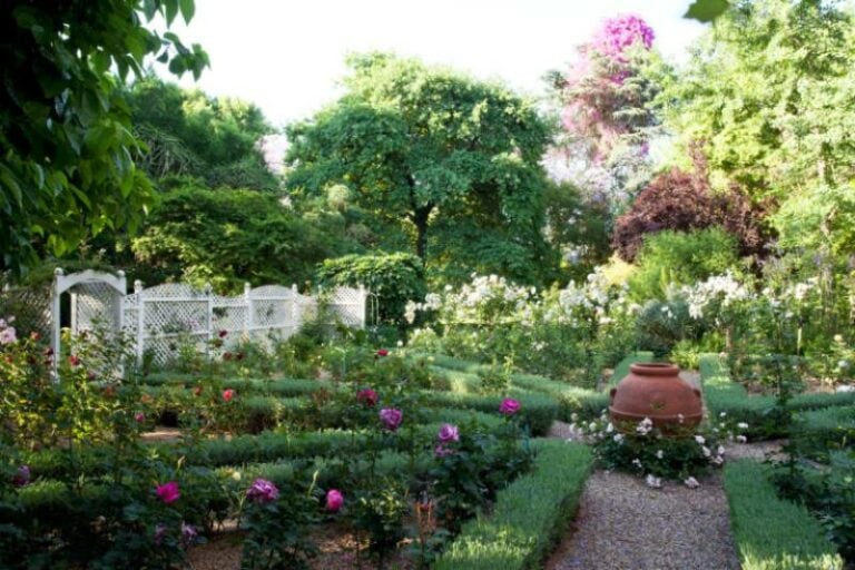12 DIY Rose Garden Plans You Can Make Today (With Pictures) | Home Grail