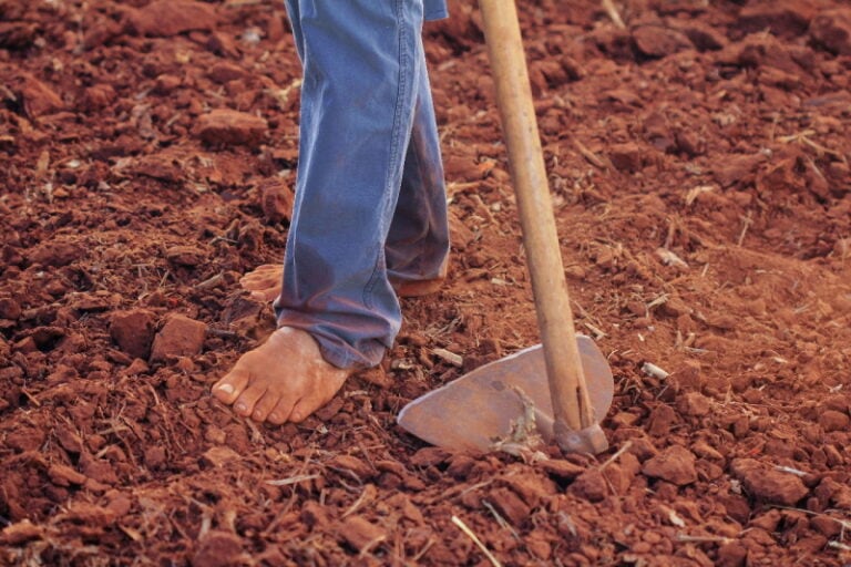 Is Clay Soil Acidic? Facts & FAQ | Home Grail