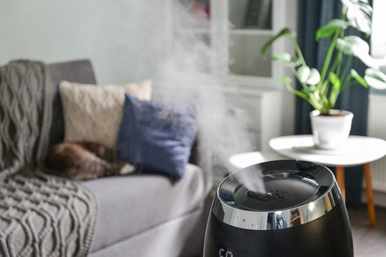 5 Different Types of Humidifiers (With Pictures) | Home Grail