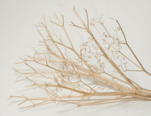 17 DIY Tree Branch Décor Plans You Can Make Today (with Pictures ...