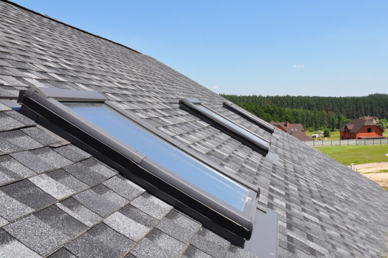 8 Types of Skylights (With Pictures) | Home Grail