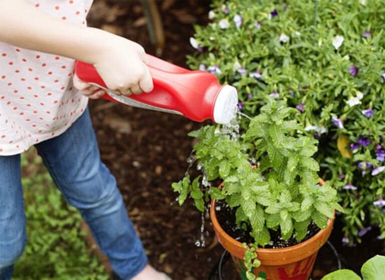 9 DIY Watering Can Plans You Can Make Today (with Pictures) | Home Grail