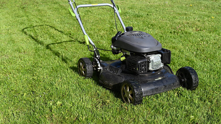 Who Invented the Lawn Mower & When? (History of the Lawn Mower) | Home ...