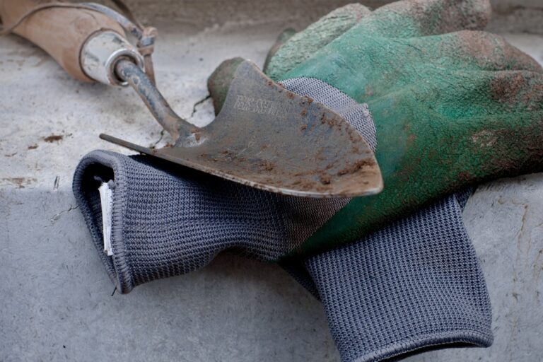 5 Types of Garden Trowels: Uses, Pros & Cons (With Pictures) | Home Grail