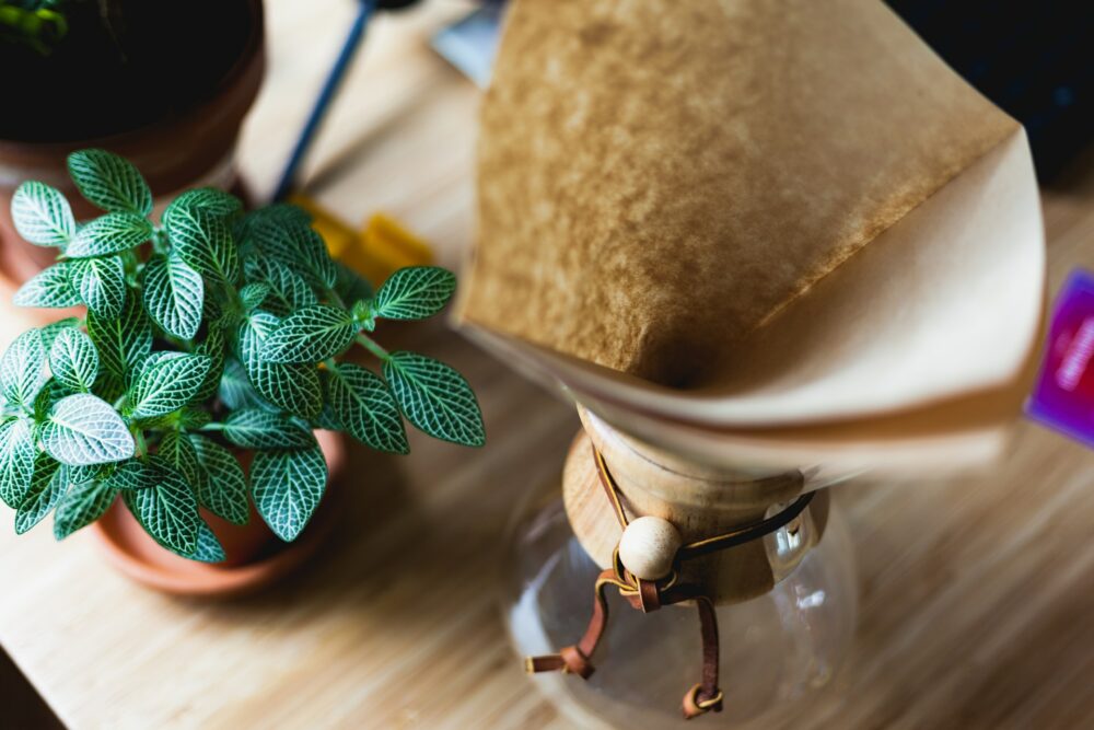 17 Clever Uses for Coffee Filters That Don't Involve Coffee | Home Grail