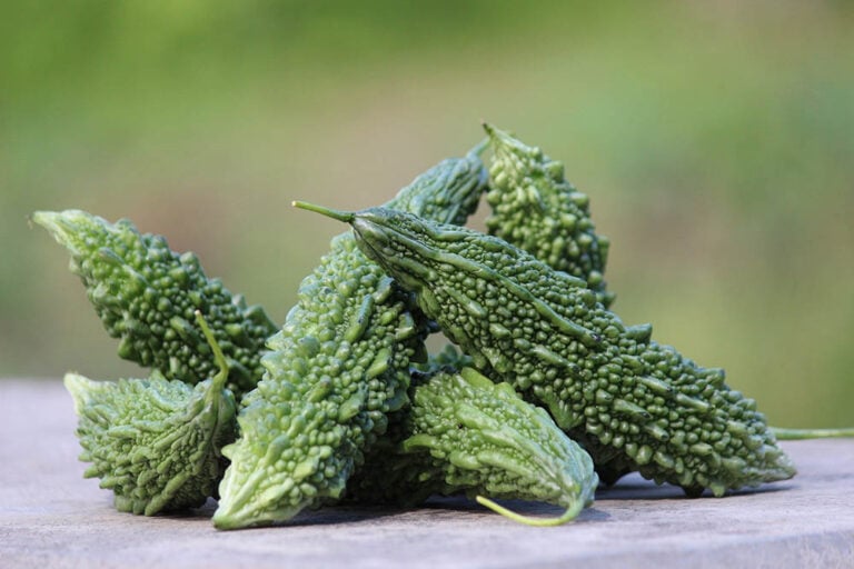 20 Types of Melons (with Pictures) | Home Grail