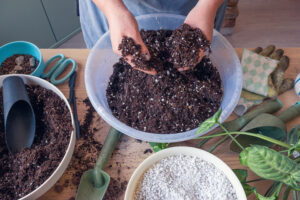 8 Best Potting Soils for Indoor Plants in 2025: Reviews & Top Picks ...
