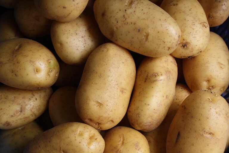 11 Best Types of Potatoes to Grow at Home (With Pictures) | Home Grail