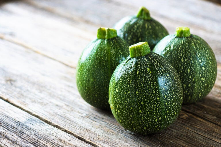 10 Types of Zucchini (with Pictures) | Home Grail