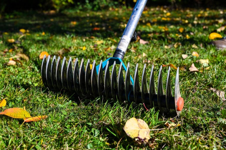19 Types of Rakes & Their Uses (With Pictures) | Home Grail