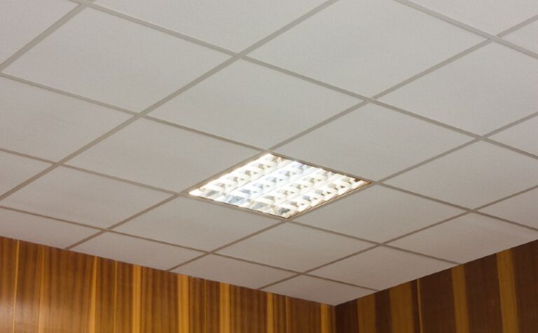 9 Common Types of Ceiling Tiles (With Pictures) | Home Grail