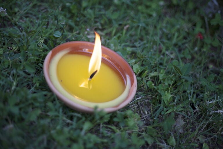 How to Get Rid of Flies Outside: 12 Effective Methods | Home Grail